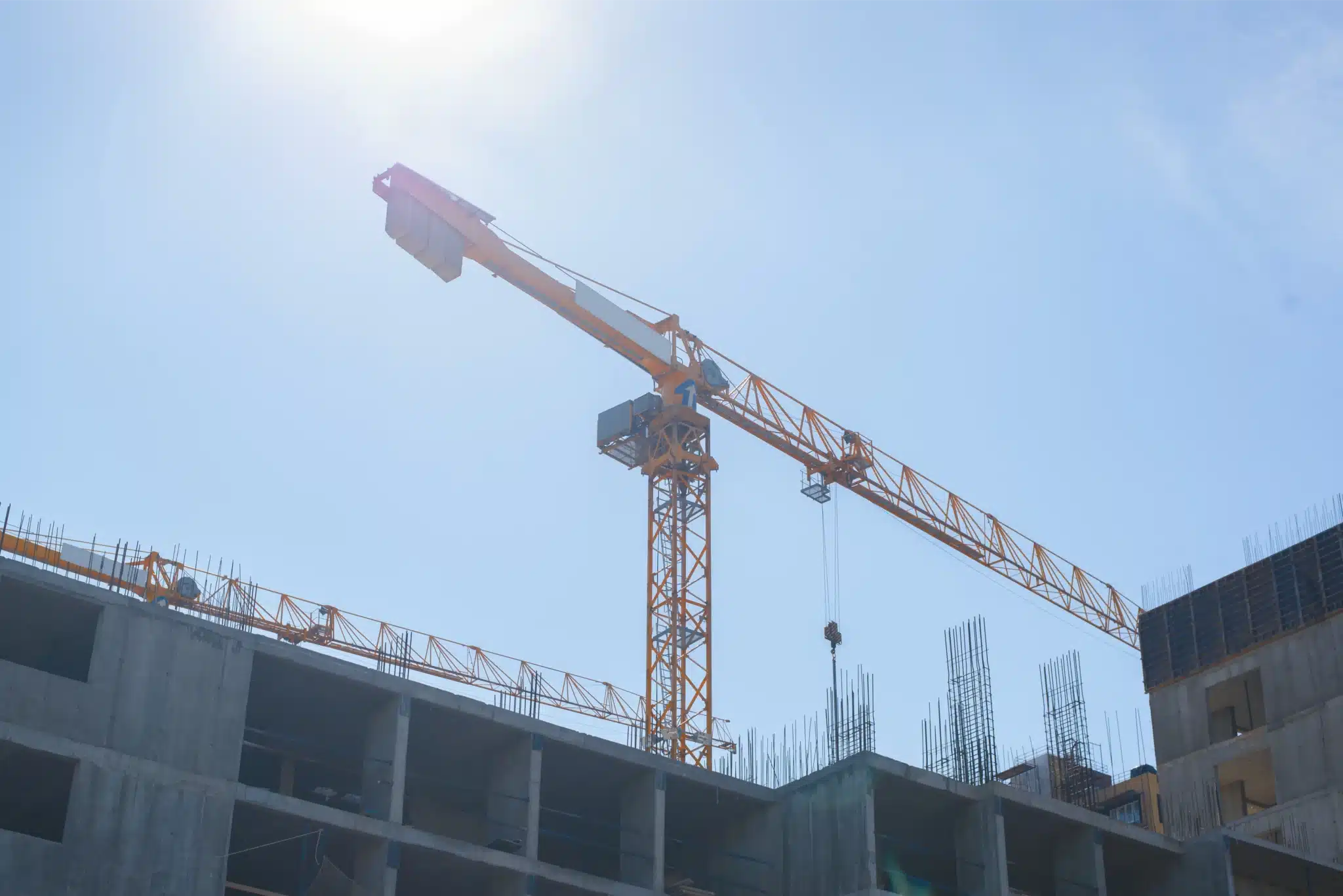 Nyhedsbrev juli 2024 - Dianati & Klink Larsen